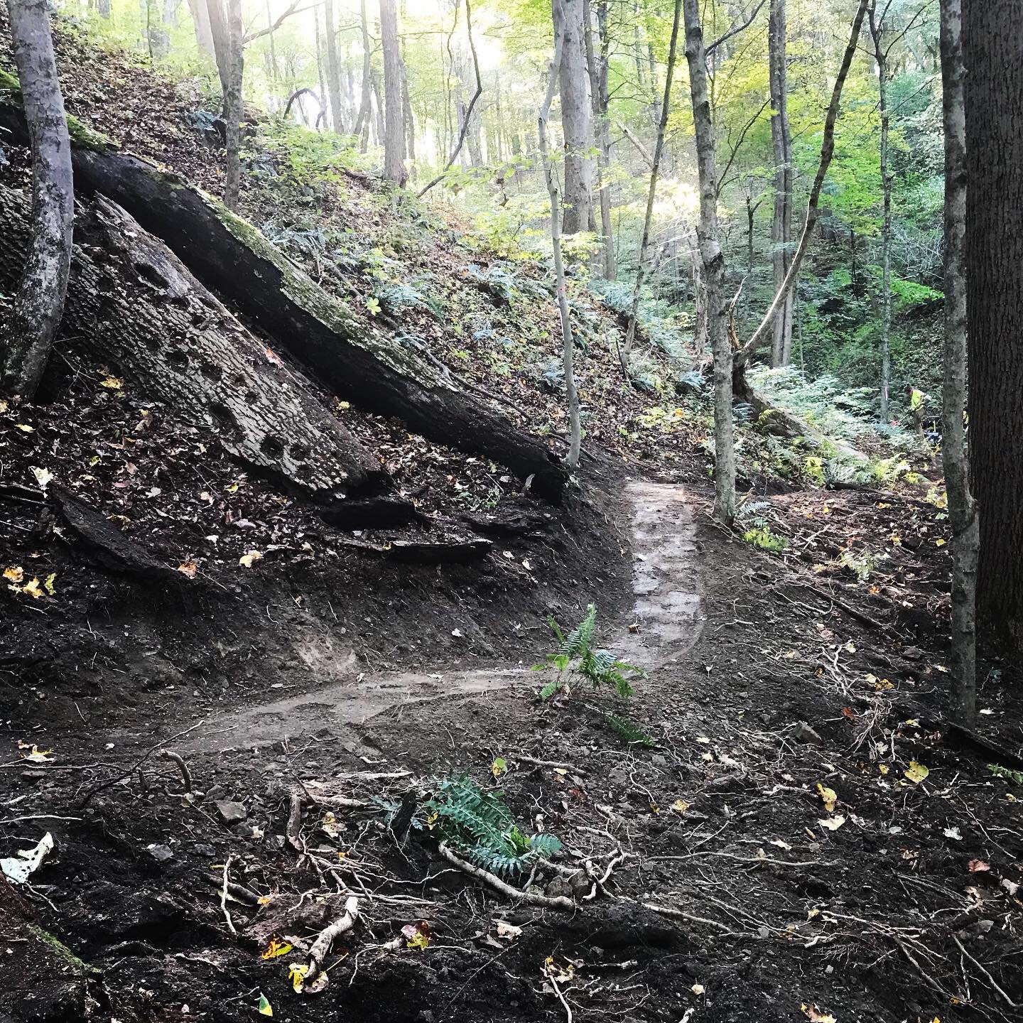 Project Profile: Hacksaw Trail